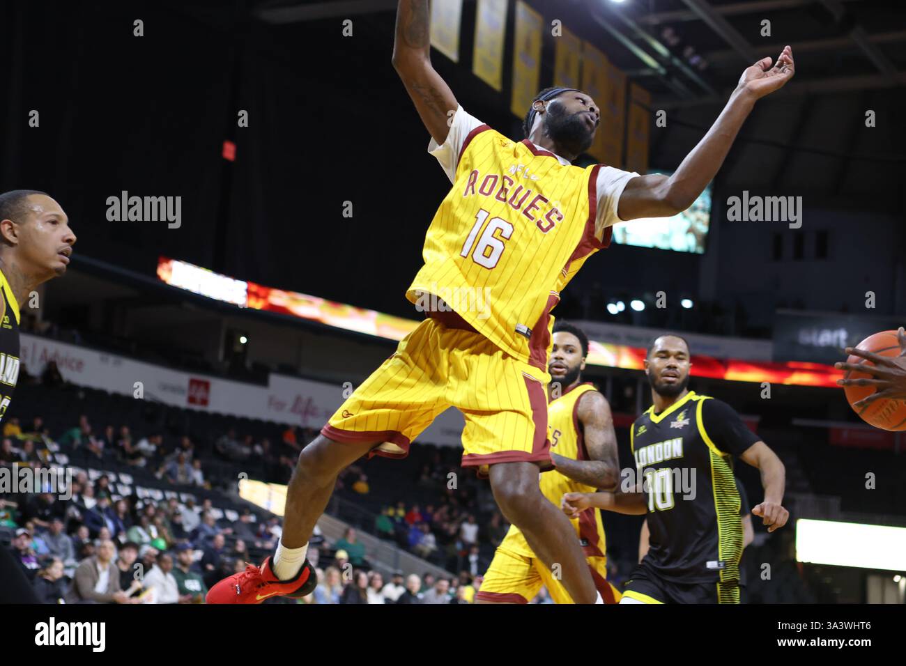 London, Canada. 17th March, 2025. The London Lightning defeat the ...