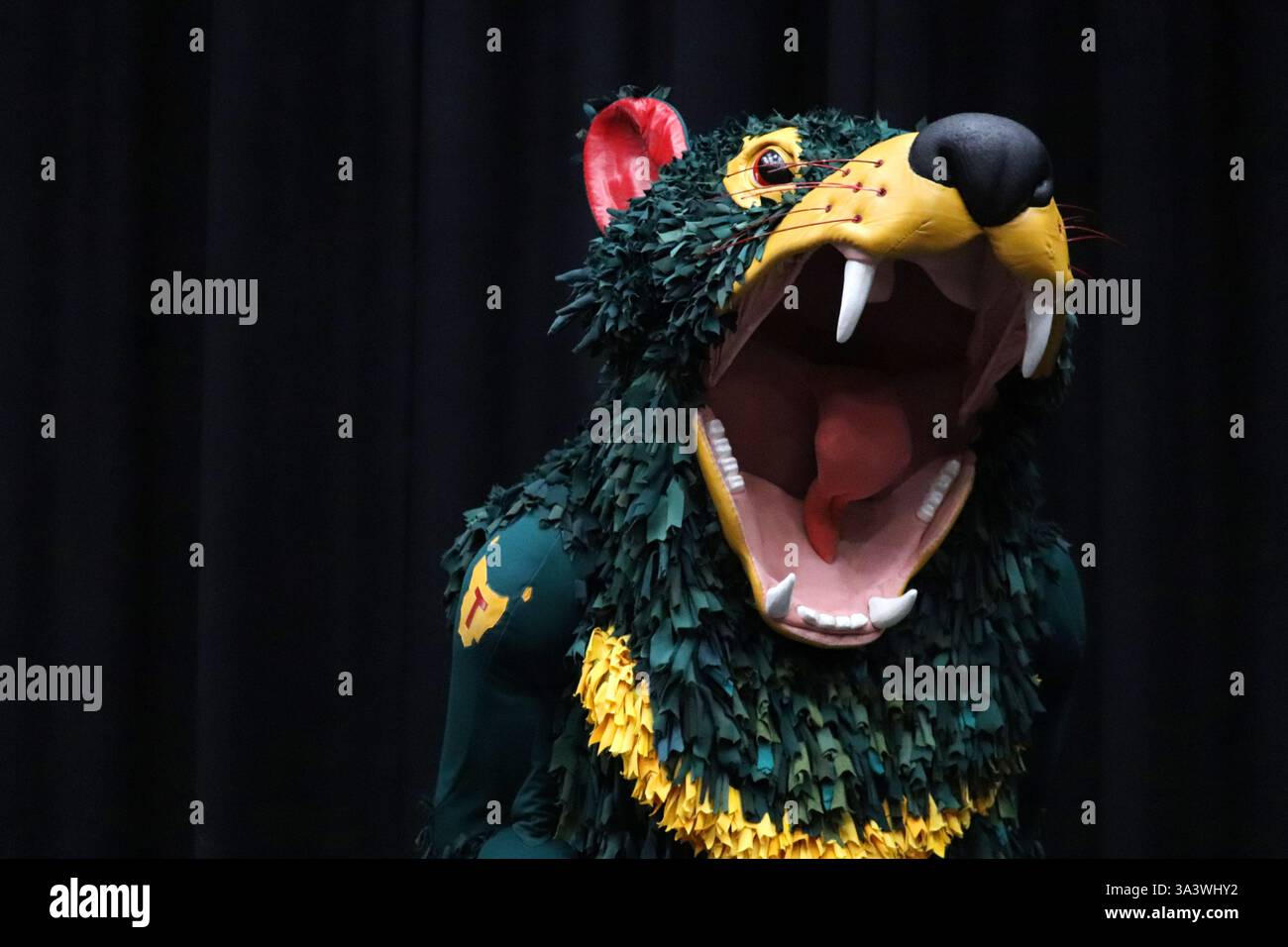 Hobart, Australia. 18th Mar, 2025. Tasmania Devils club mascot Rum'un ...
