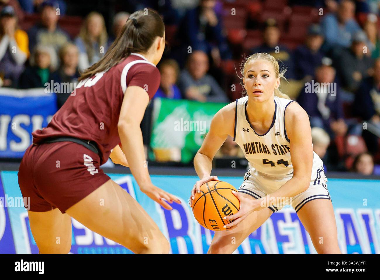 Montana State guard Taylee Chirrick (44) looks over the Montana defense ...