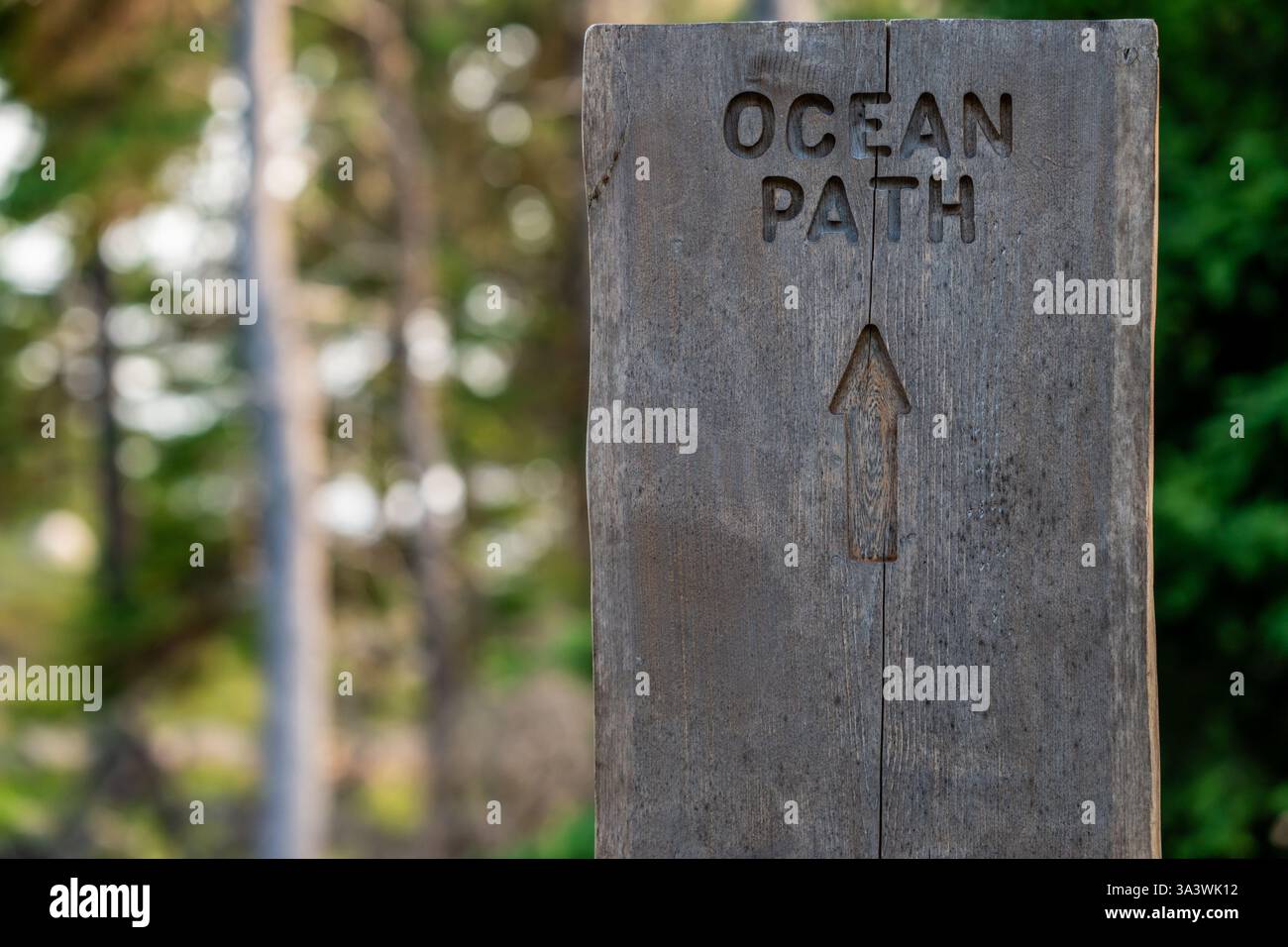 Sign for Ocean Path Along Coast In Acadia National Park Stock Photo - Alamy