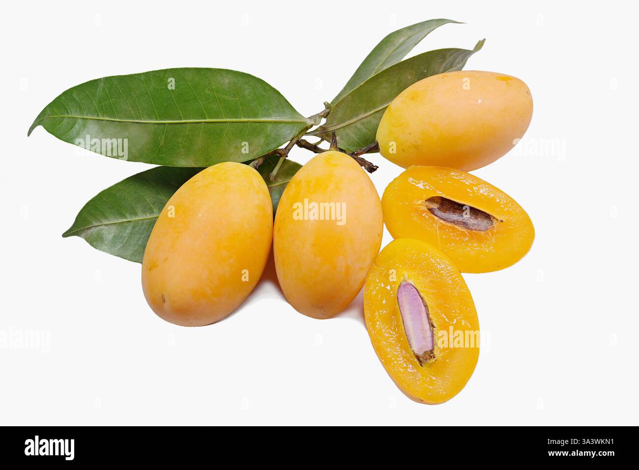 A ripe yellow marian plum or mayong chit fruit (Bouea macrophylla ...