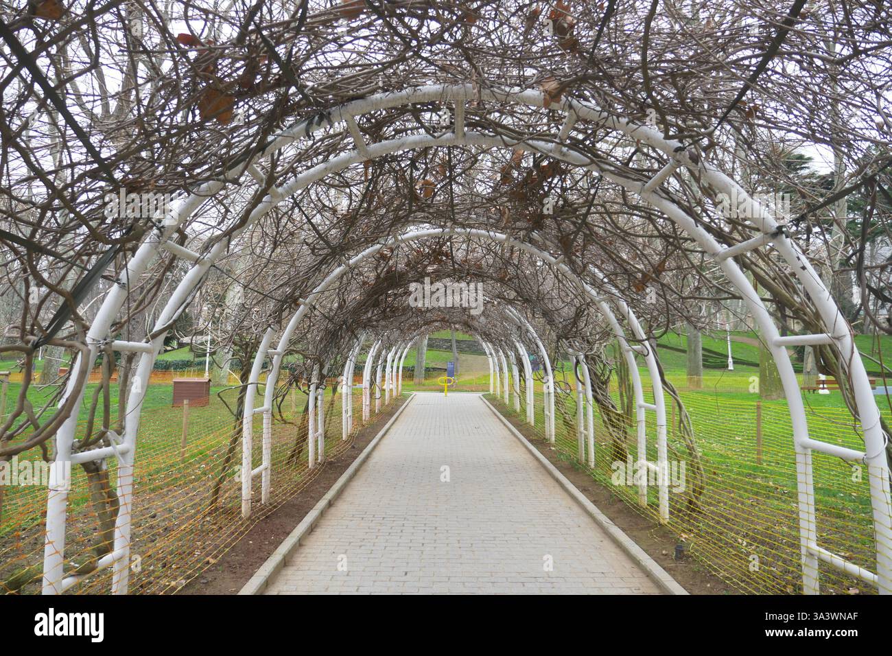 Pathway through a vine-covered archway in a public park Stock Photo - Alamy