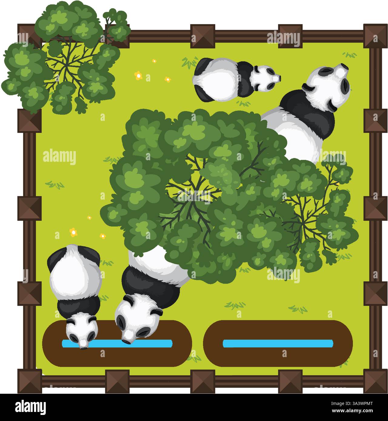 Ailuropoda melanoleuca giant pandas Stock Vector Images - Alamy