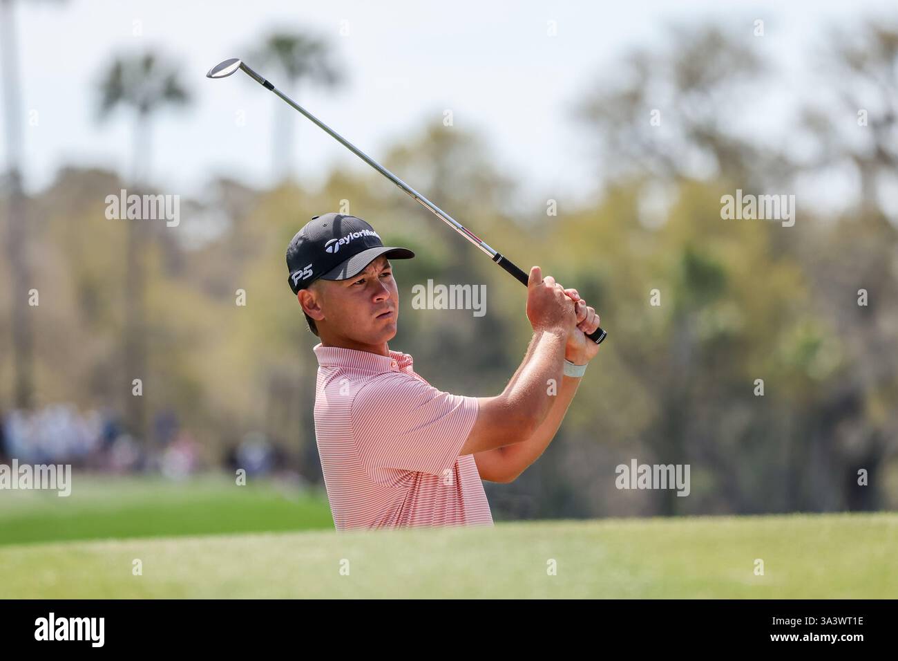 Ponte Vedra, FL, USA. 14th Mar, 2025. Karl Vilips on the 12th hole ...