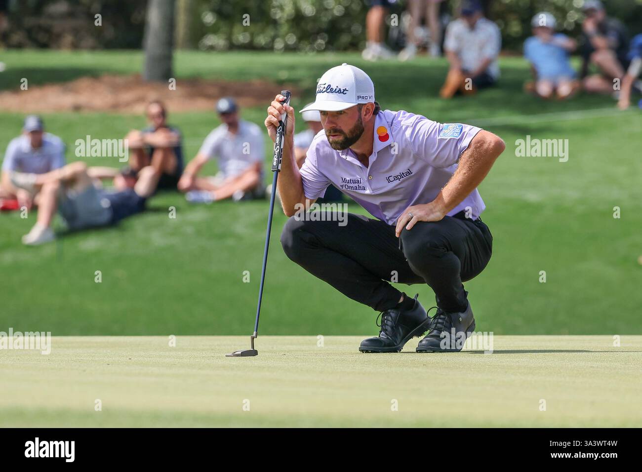 2025 _0817 jpg hi-res stock photography and images - Alamy