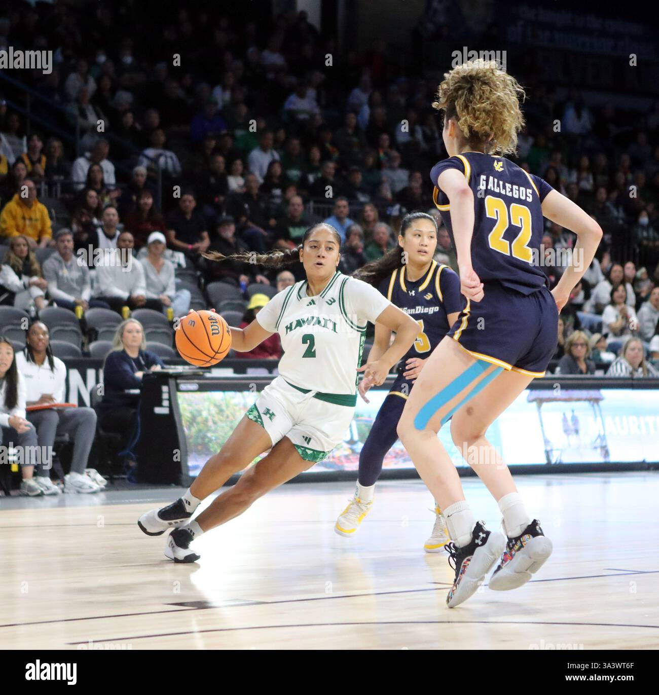 March 14, 2025 - Hawai'i Rainbow Wahine guard Mia 'Uhila #2 drives to ...