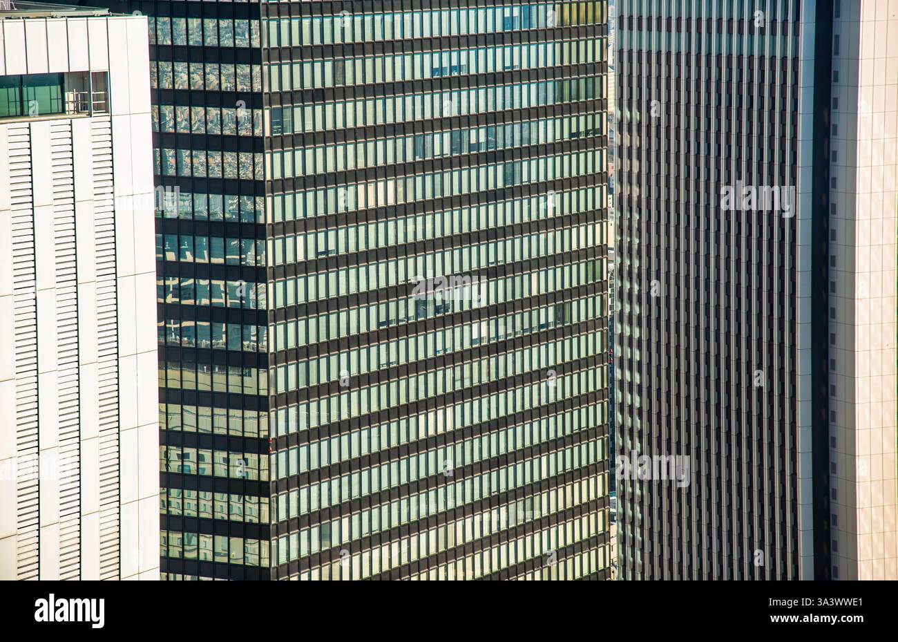 Dense view facade high hi-res stock photography and images - Alamy