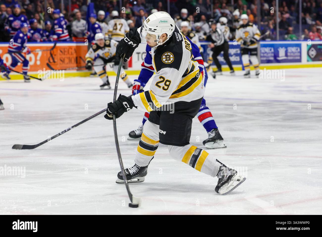 Rochester, New York, USA. 14th Mar, 2025. Providence Bruins defenseman ...