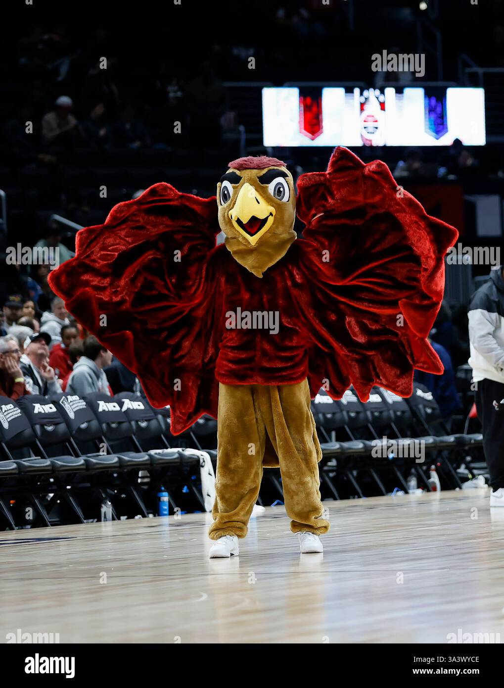 March 15, 2025: The Saint Joseph's Hawk mascot performs during an A10 ...