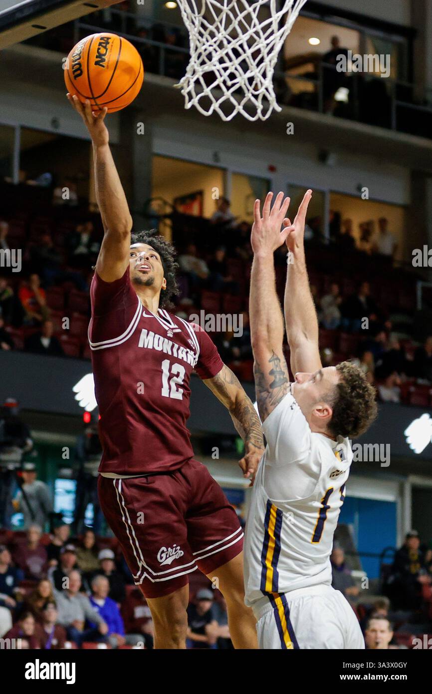 Montana guard Brandon Whitney (12) slides by a Northern Colorado ...