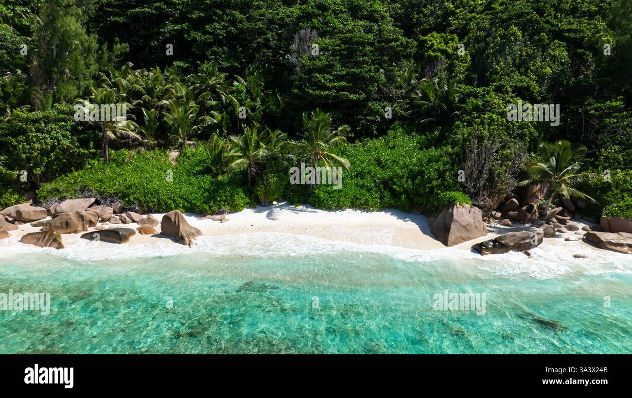 Aerial view of a peaceful beach with crystal clear water and lush ...