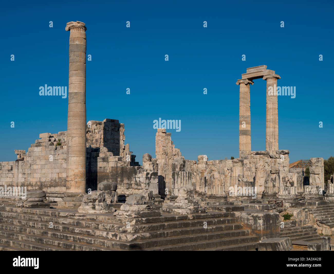 The temple of Apollo in Didim. Important ancient cities of Turkey ...