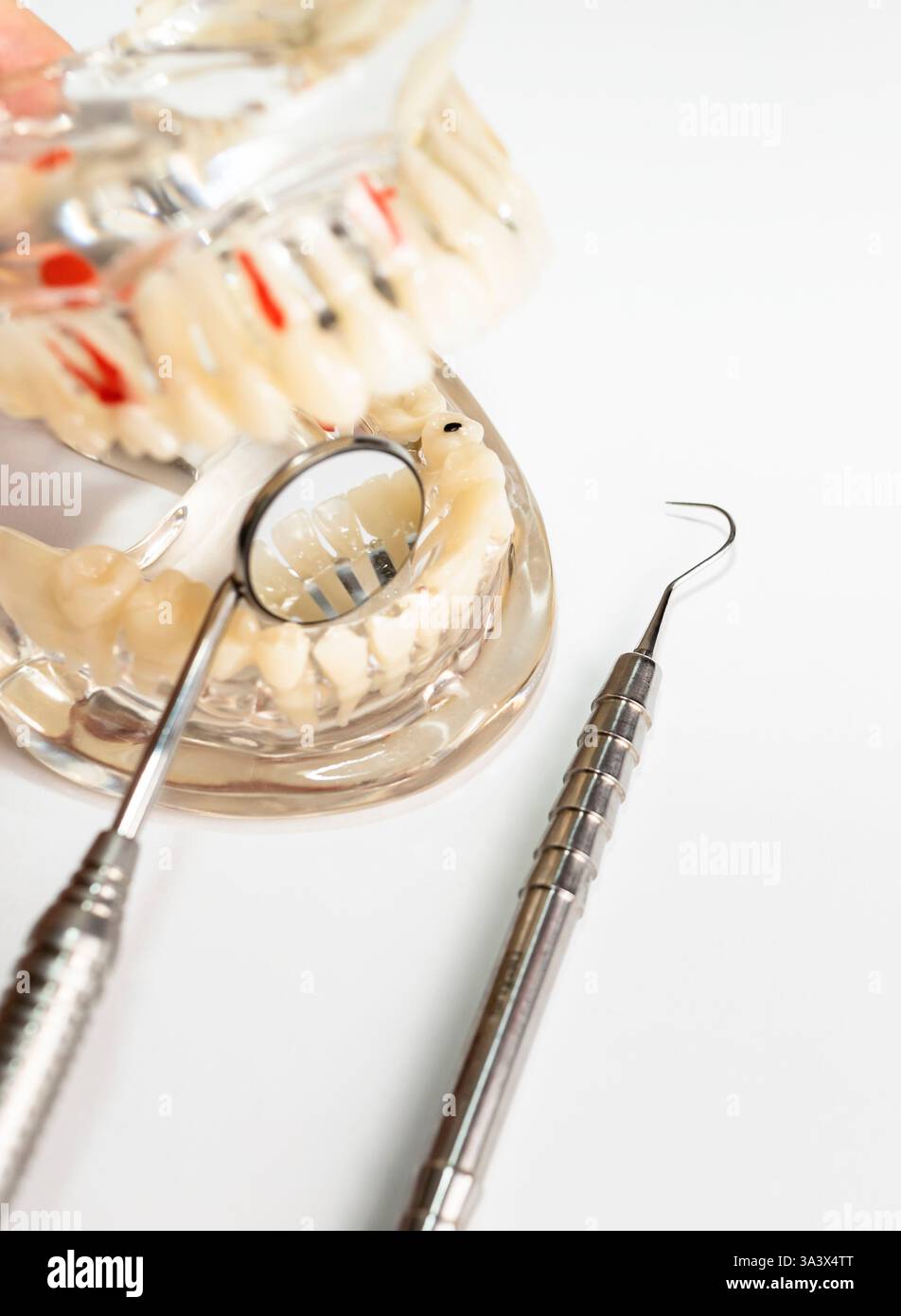 Dental Concept. Basic Dental Instruments Set, Mirror, Explorer ...