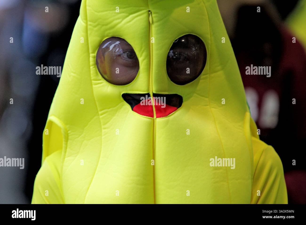 Toronto, Canada. 16th Mar, 2025. A person wears a costume outside the ...