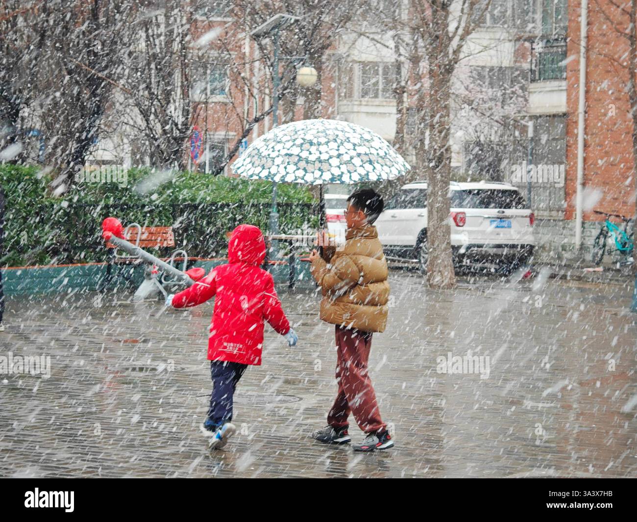 People walk in the snow in Beijing, China, 15 March, 2025 Stock Photo ...