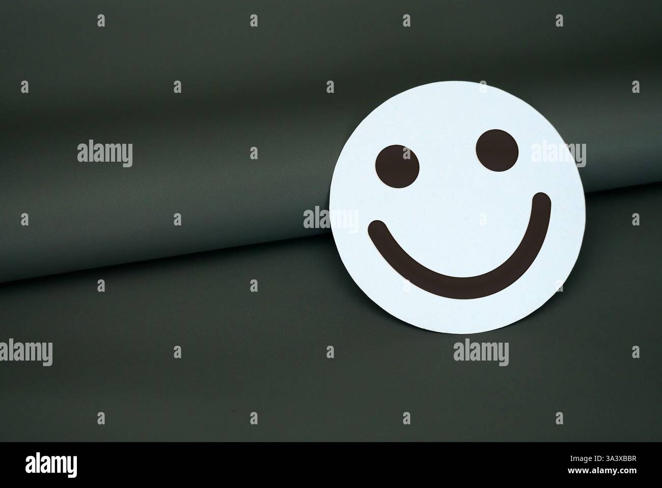 Minimalist White Smiley Face on Dark Green Background Symbolizing ...