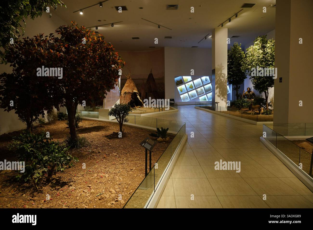 SANLIURFA, TURKIYE - FEBRUARY 02, 2025: Sanliurfa Archaeology and ...