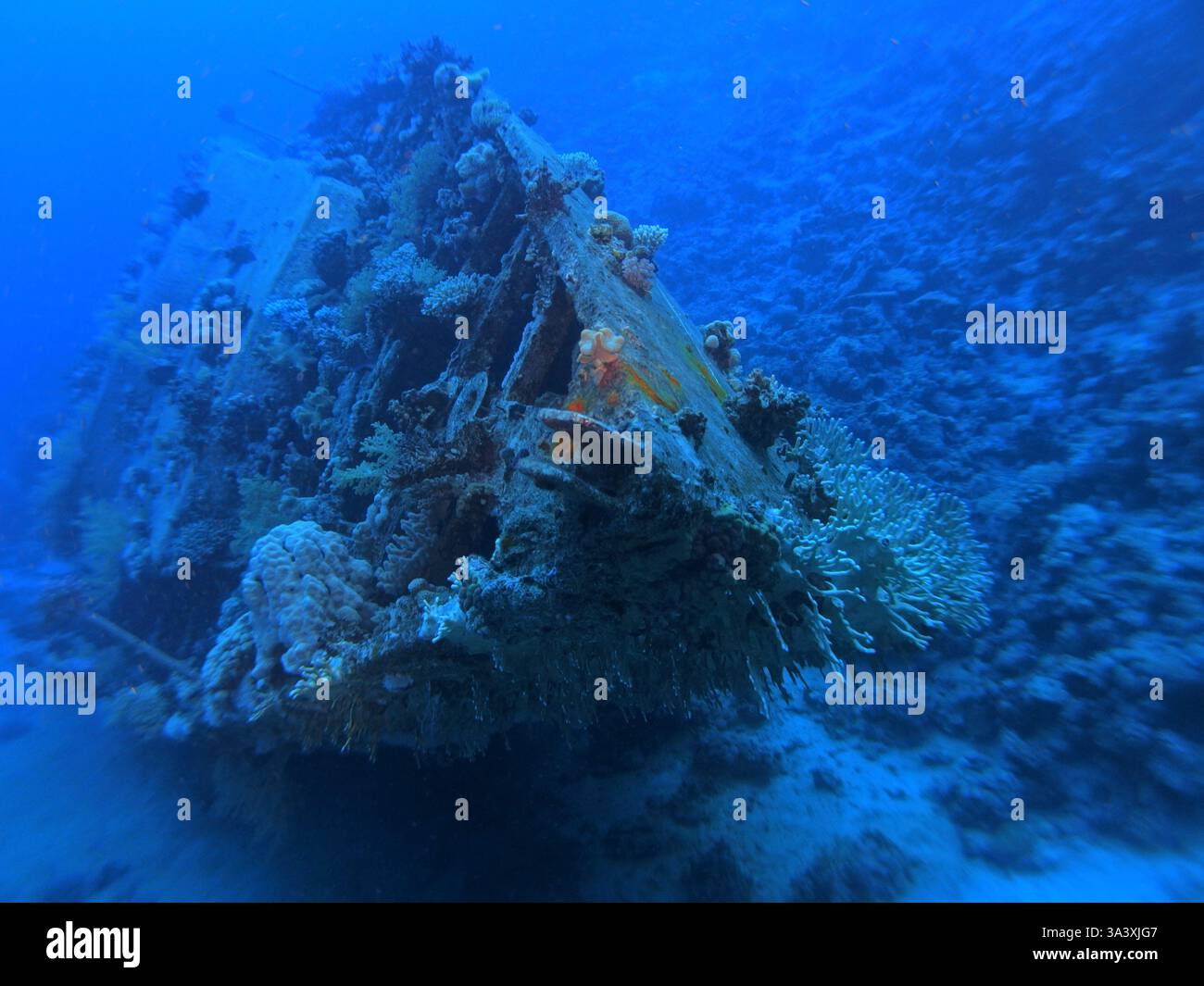 Shipwreck in Red Sea, Fury Shoal area, Egypt Stock Photo - Alamy