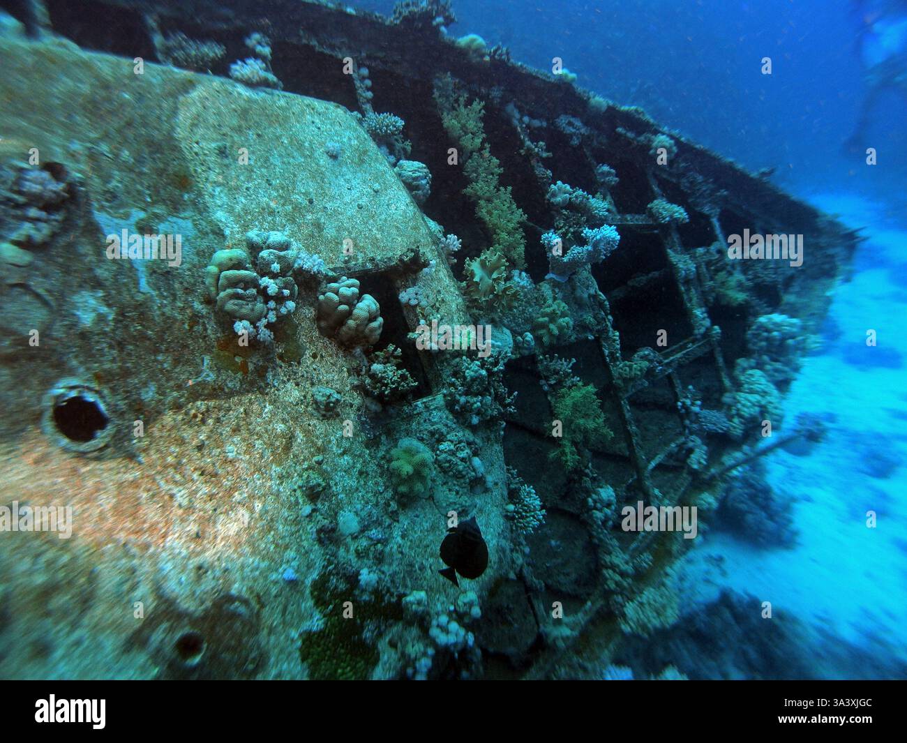 Shipwreck in Red Sea, Fury Shoal area, Egypt Stock Photo - Alamy