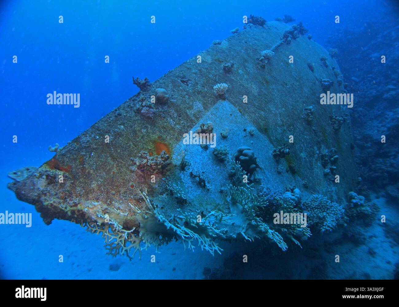Shipwreck in Red Sea, Fury Shoal area, Egypt Stock Photo - Alamy