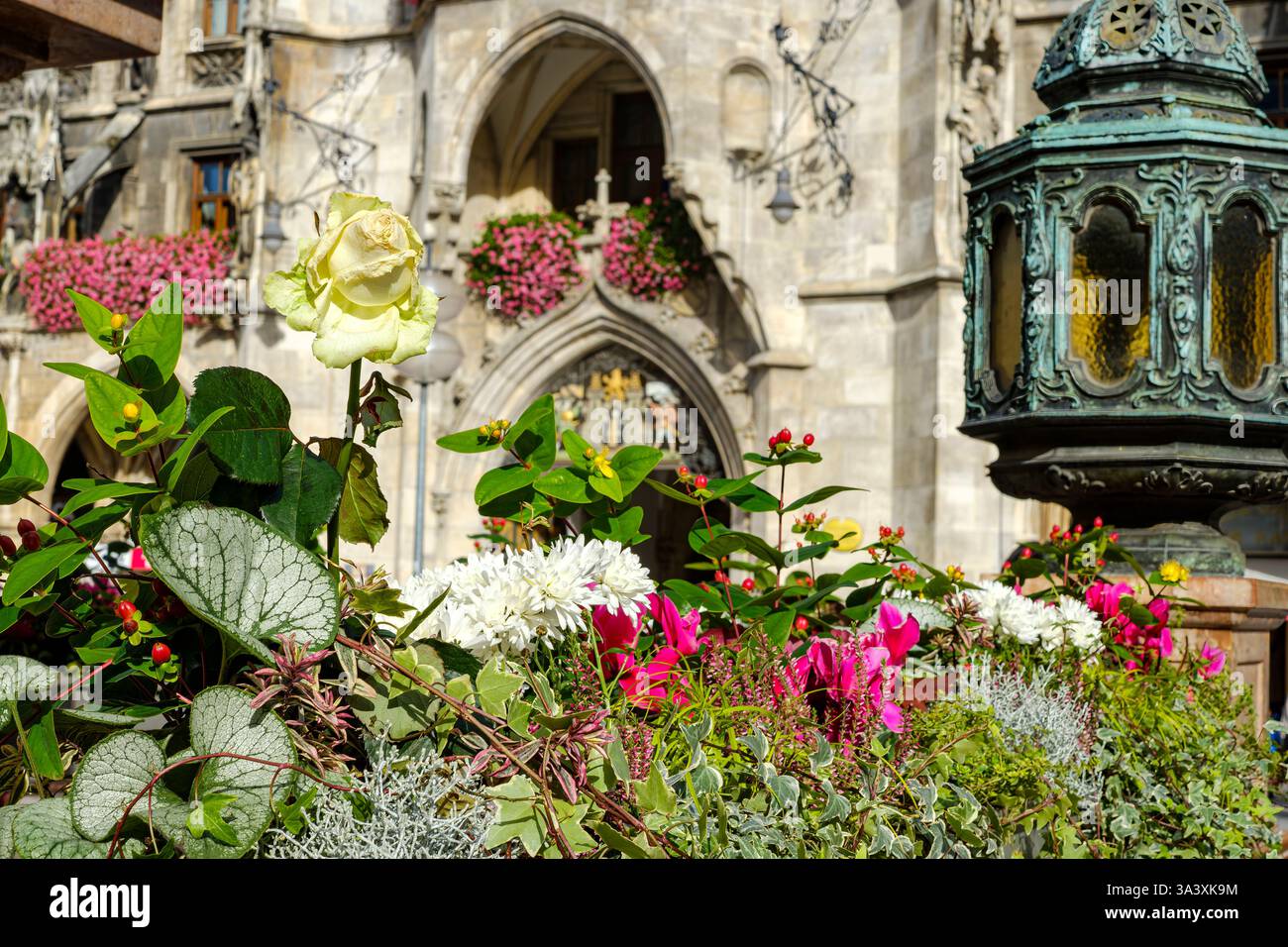 Flower decoration and lantern at the foot of the Marian column, in the ...