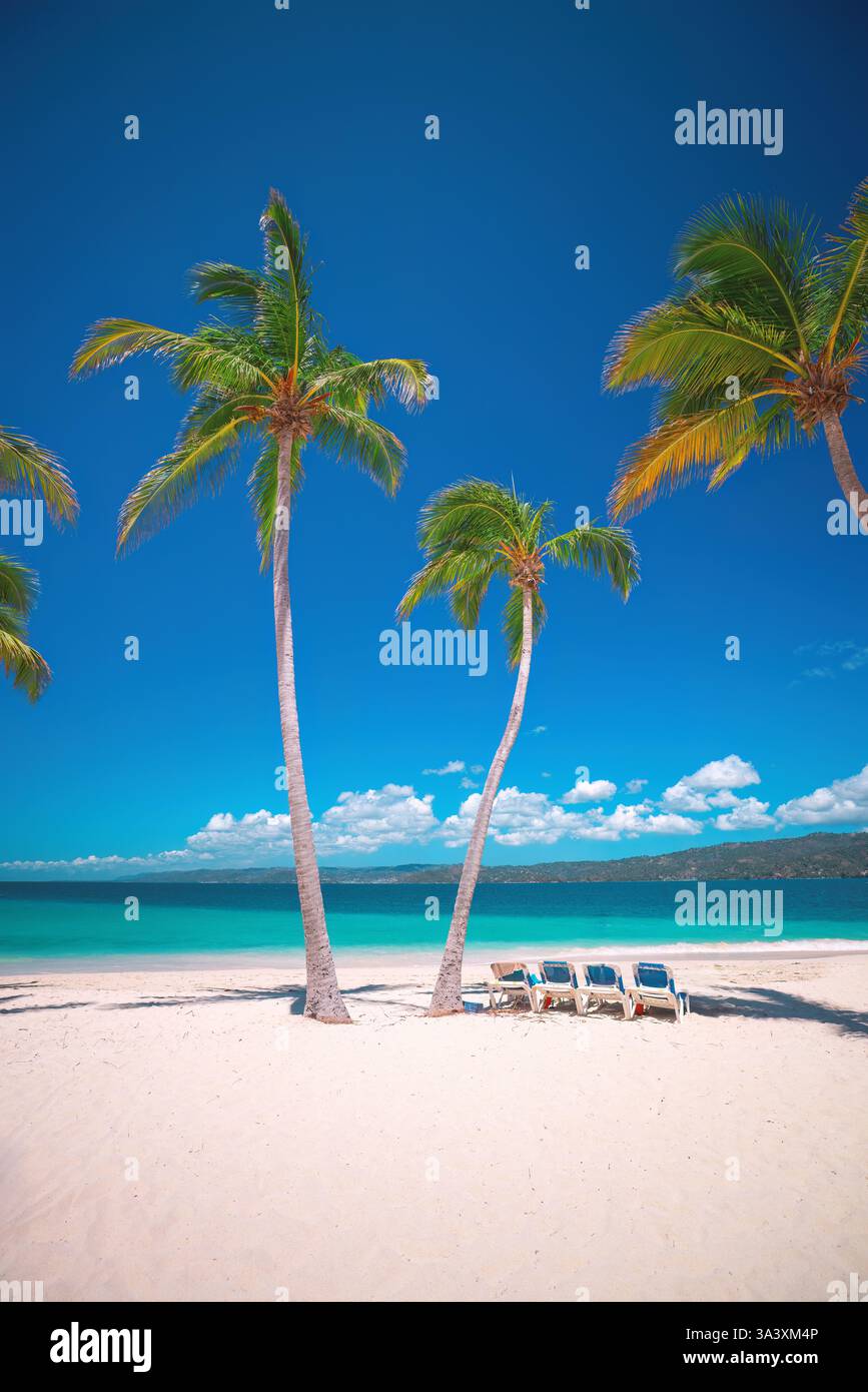 Exotic beach and Palm trees on Bacardi Island Cayo Levantado Samana Bay ...