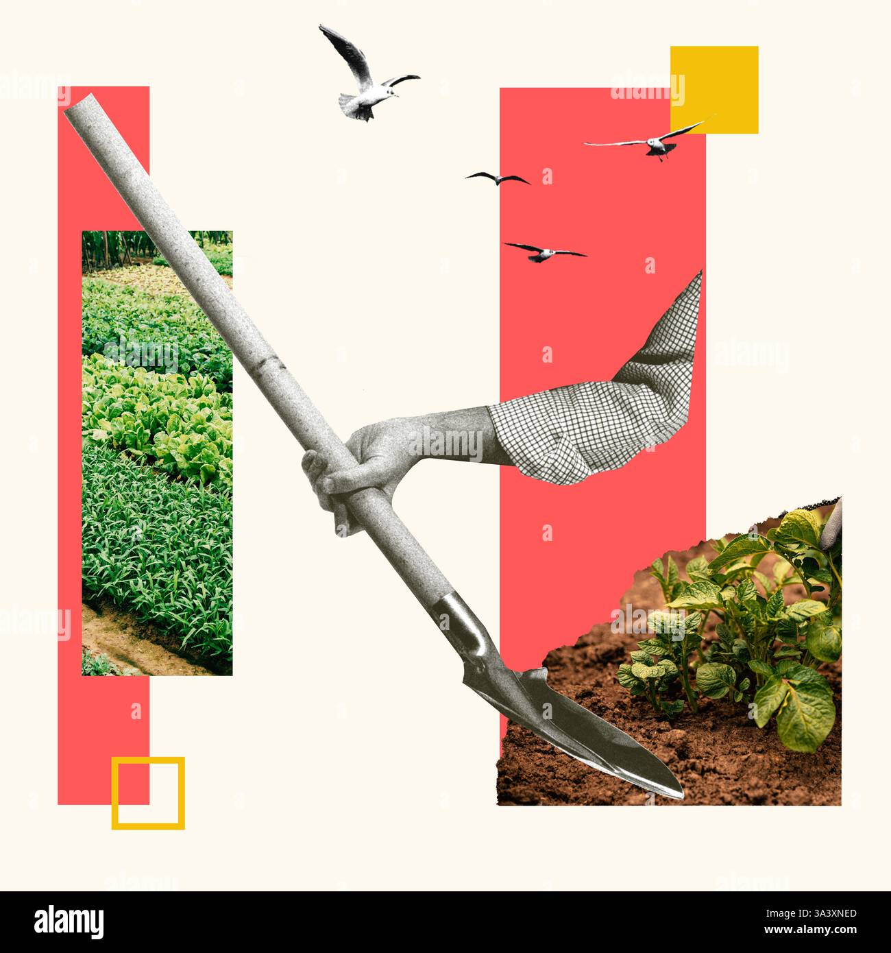 Hand with shovel, working on farmland, flying birds overhead ...