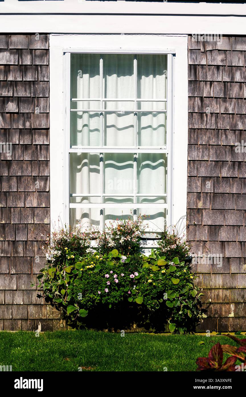 Tin white shuttered windows with flowers filled window boxes on a ...