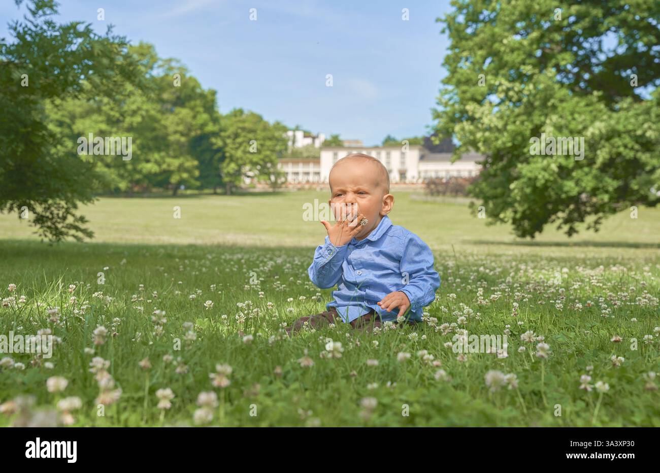 A boy under one year of European appearance with blue eyes and sits in a green meadow in summer ...