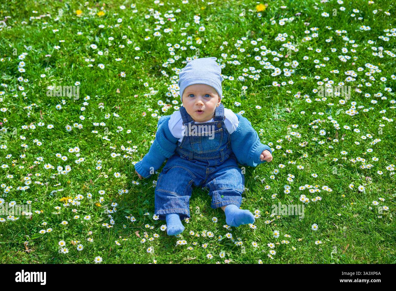 boy up to one year old European appearance blue eyes sits in the summer ...