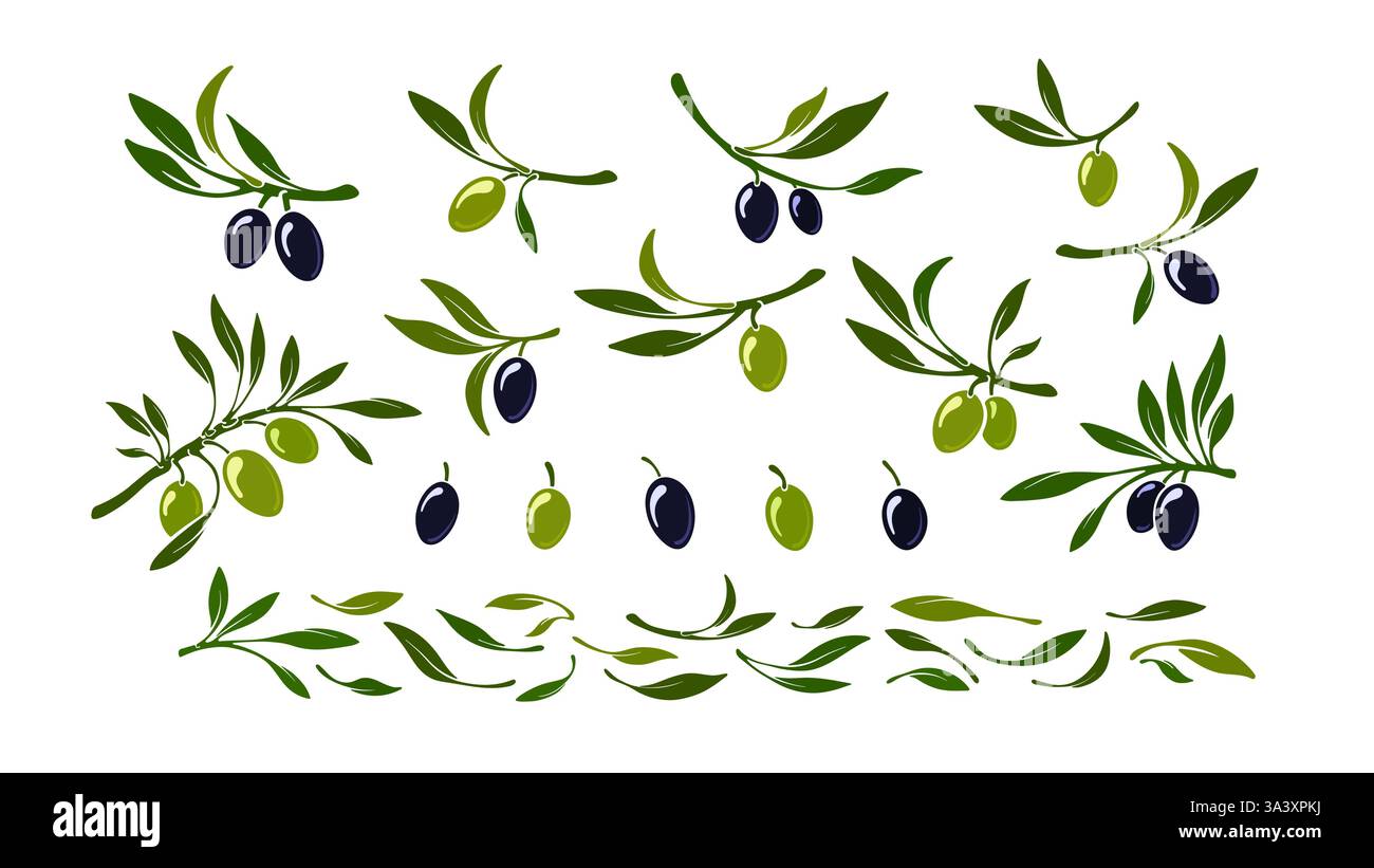 Set of olives. Vector black and green macro fruit, leaves isolated on ...