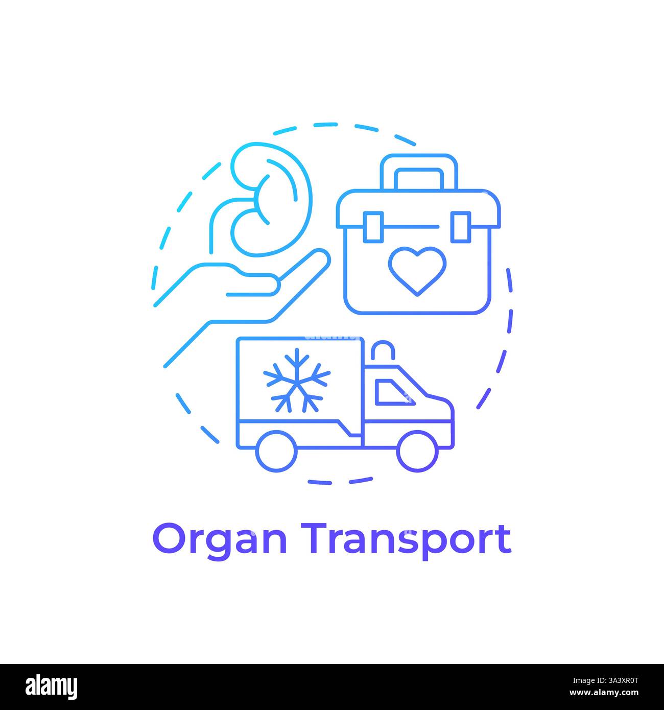 Cooling organ Stock Vector Images - Alamy