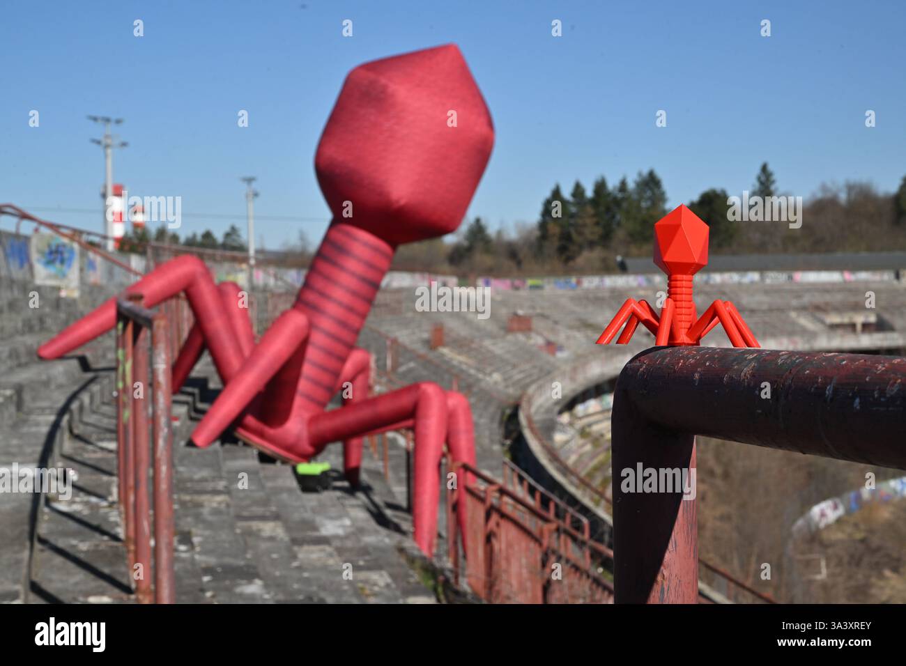A bacteriophage (phage) as a new symbol of this year's Days of Electron ...