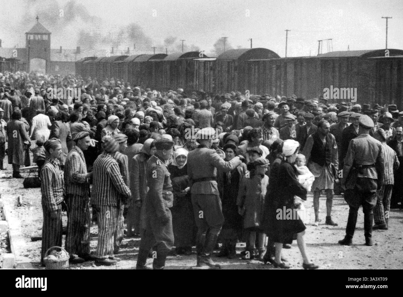 Jews arriving at Auschwitz concentration camp, 1944. According to legal ...