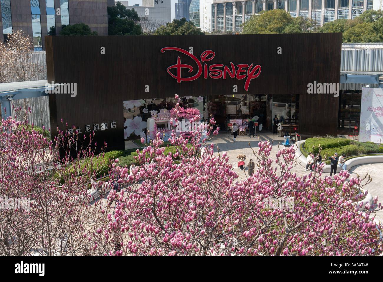 SHANGHAI, CHINA - MARCH 18, 2025 - Purple magnolia blooms in front of ...