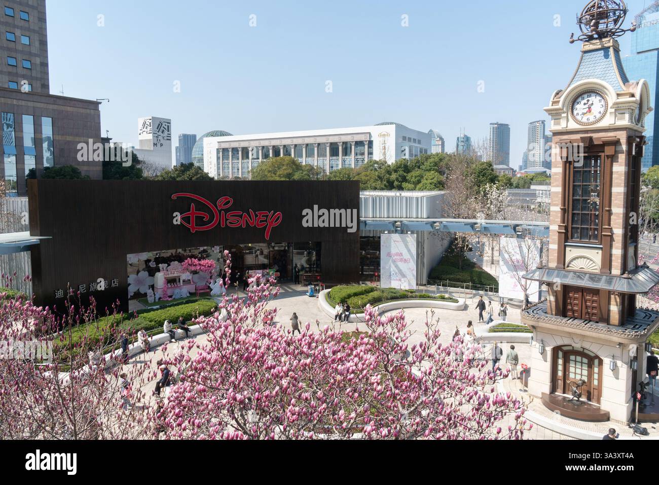 SHANGHAI, CHINA - MARCH 18, 2025 - Purple magnolia blooms in front of ...
