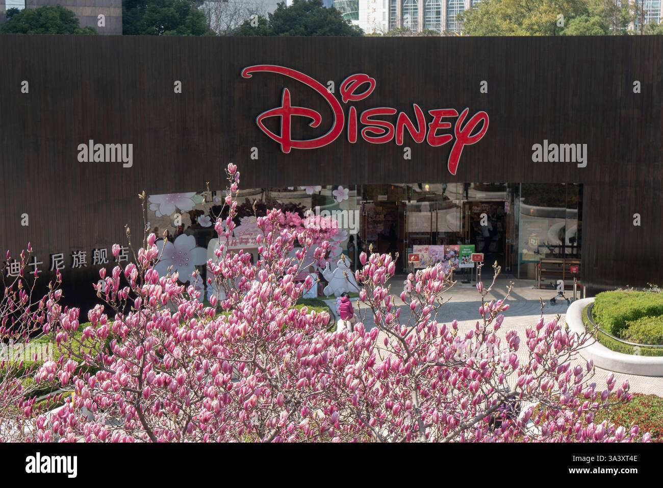 SHANGHAI, CHINA - MARCH 18, 2025 - Purple magnolia blooms in front of ...
