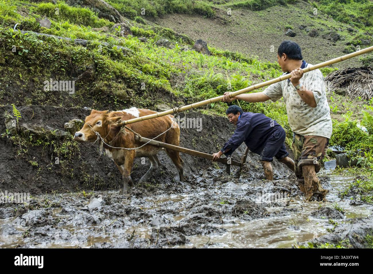 Push pole hi-res stock photography and images - Alamy