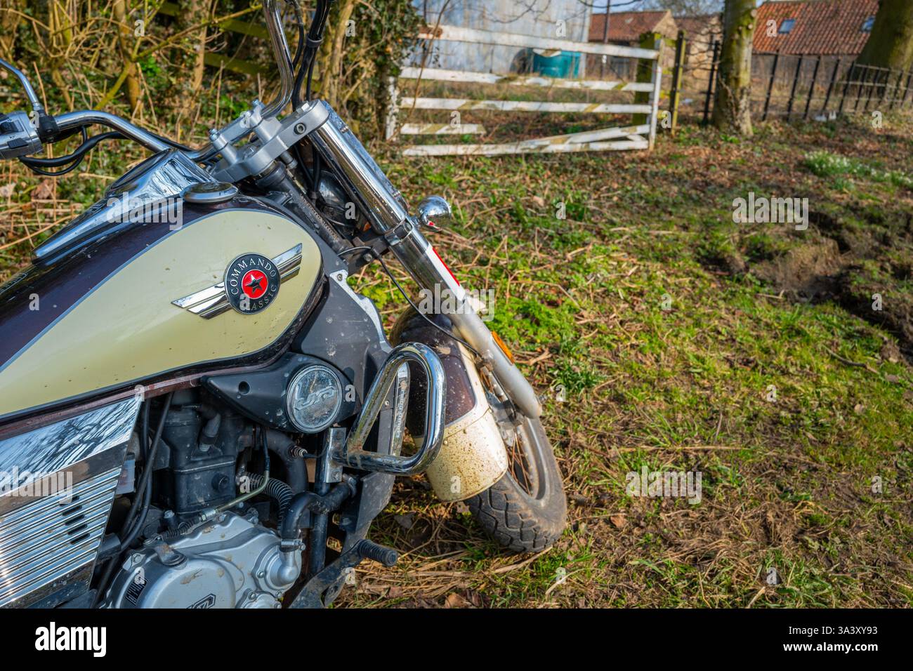 UM Commando Classic 125cc motorbike parked on a grassy verge Stock ...
