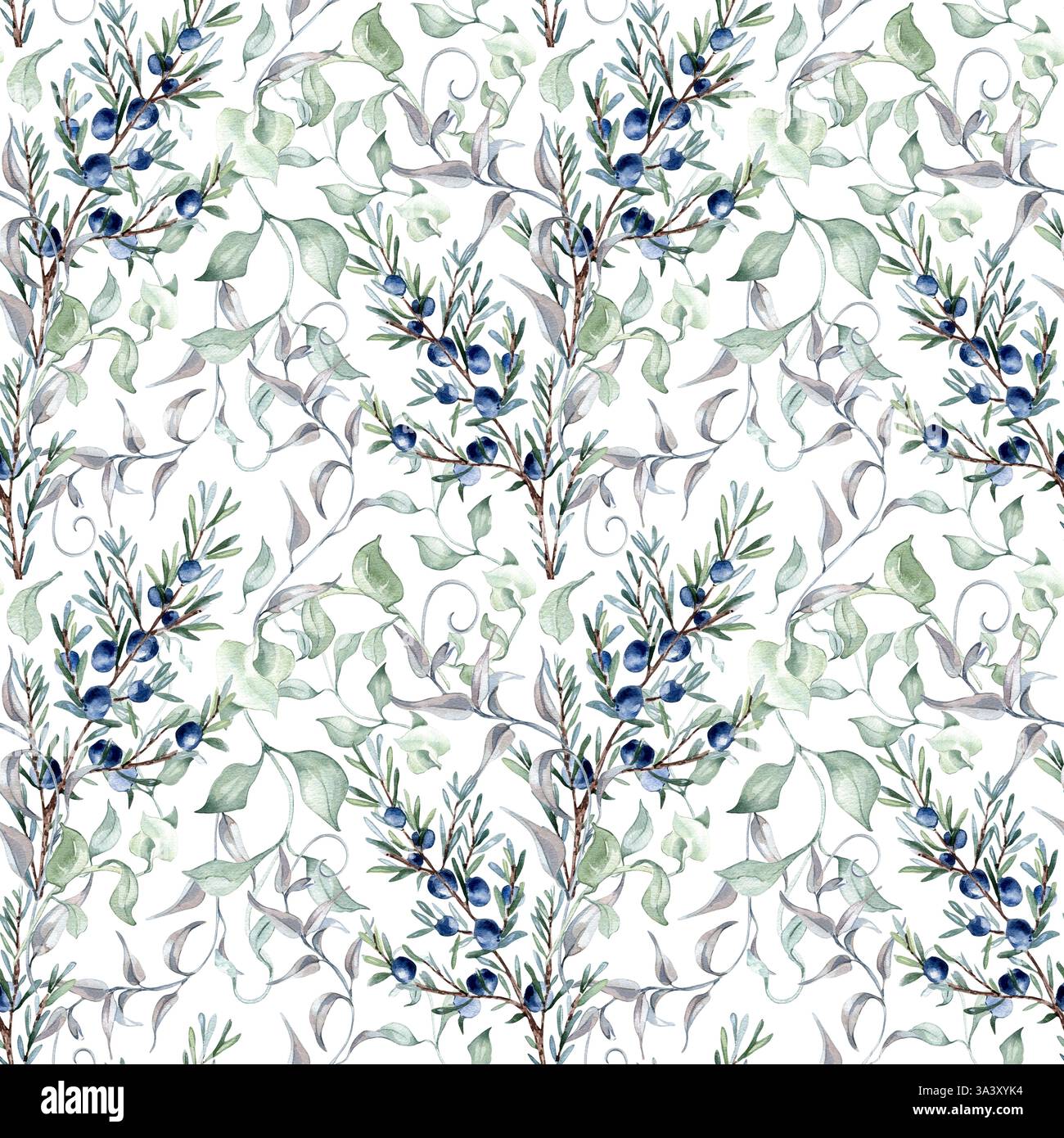 Winding vines isolated hi-res stock photography and images - Alamy