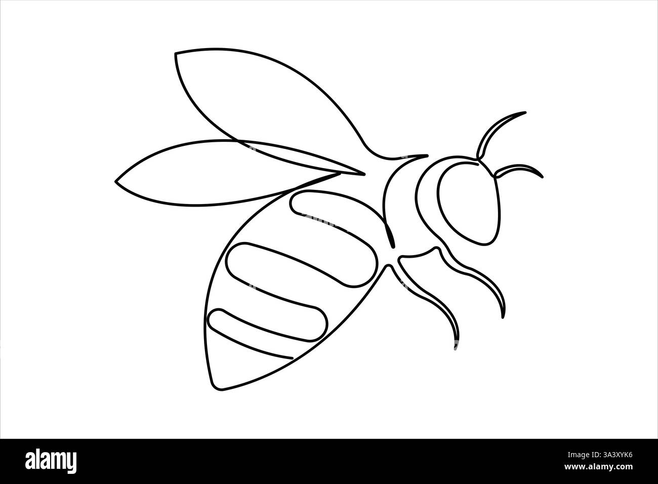 Honey bee continuous one hi-res stock photography and images - Alamy