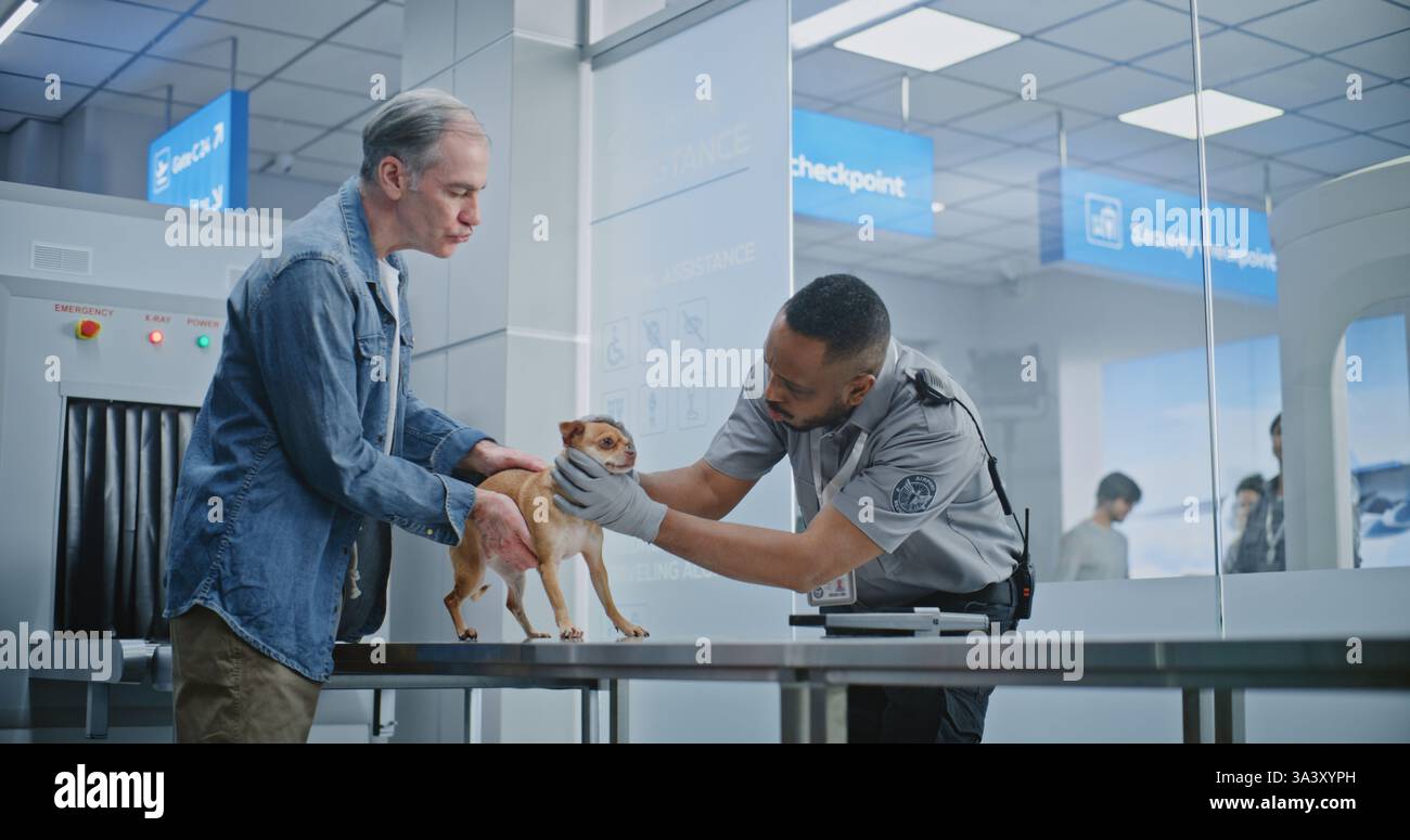Airport Terminal: Mature Man with Pet at Security Checkpoint. African ...