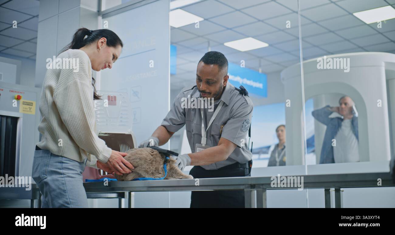 Woman with Pet During Screening in Airport Terminal: African American ...