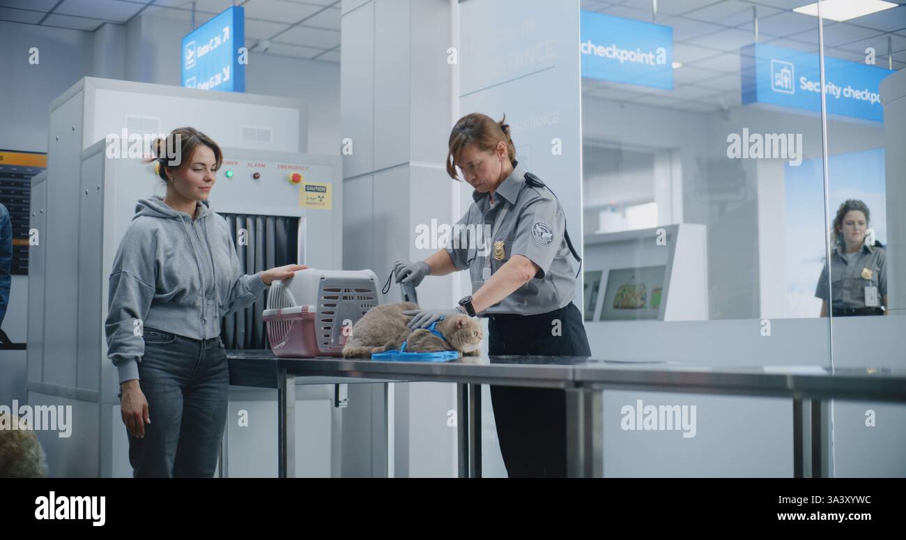 Airport Terminal: Woman with Pet at Security Checkpoint. Female ...