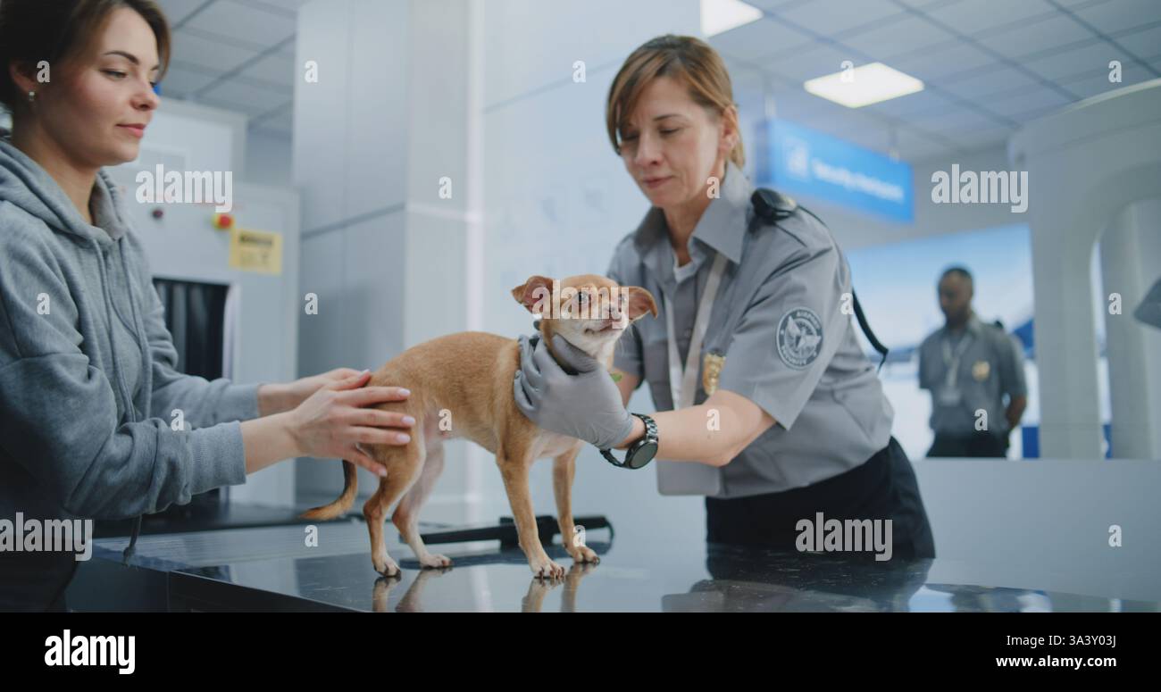Woman with Pet During Screening Procedure in Airport Terminal: Female ...