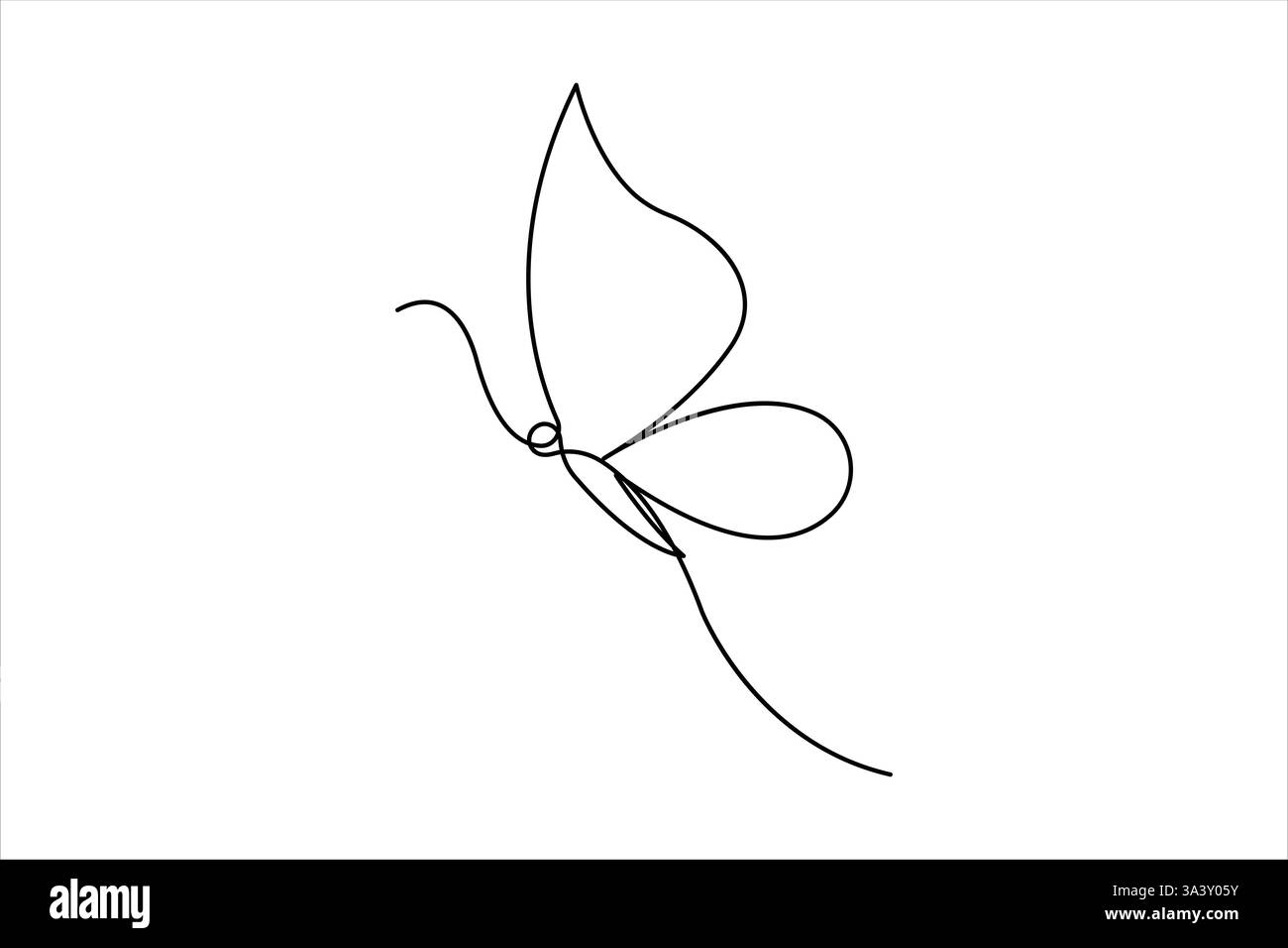 One beautiful butterfly flying Black and White Stock Photos & Images ...