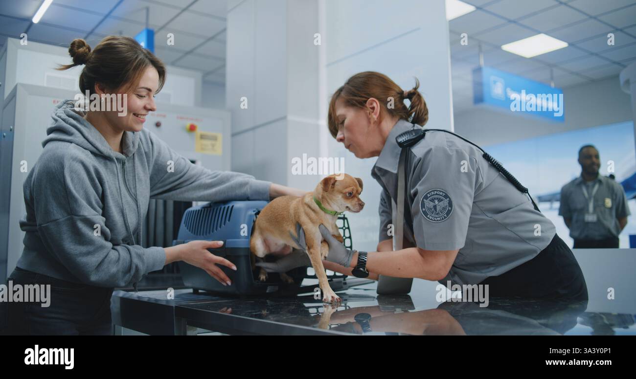 Woman with Pet During Screening Procedure in Airport Terminal: Female ...