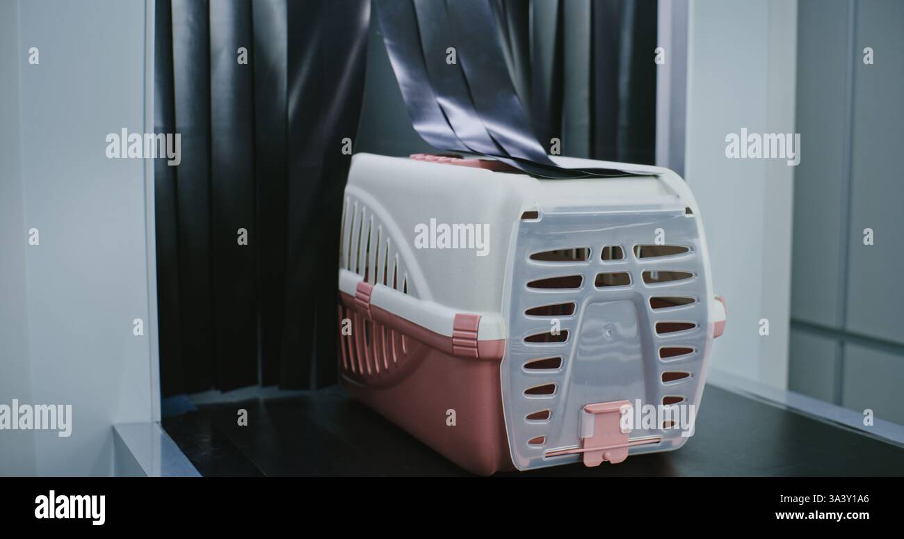 Airport Security Checkpoint: TSA Officer Taking Pet Carriers Moving ...