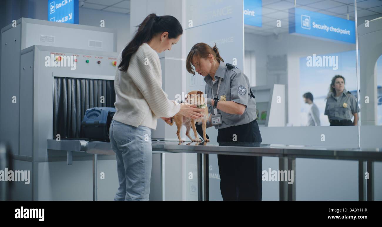Woman pet during screening process hi-res stock photography and images ...