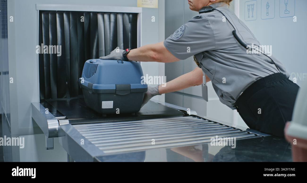 Airport Security Checkpoint: TSA Officer Taking Pet Carriers Moving ...